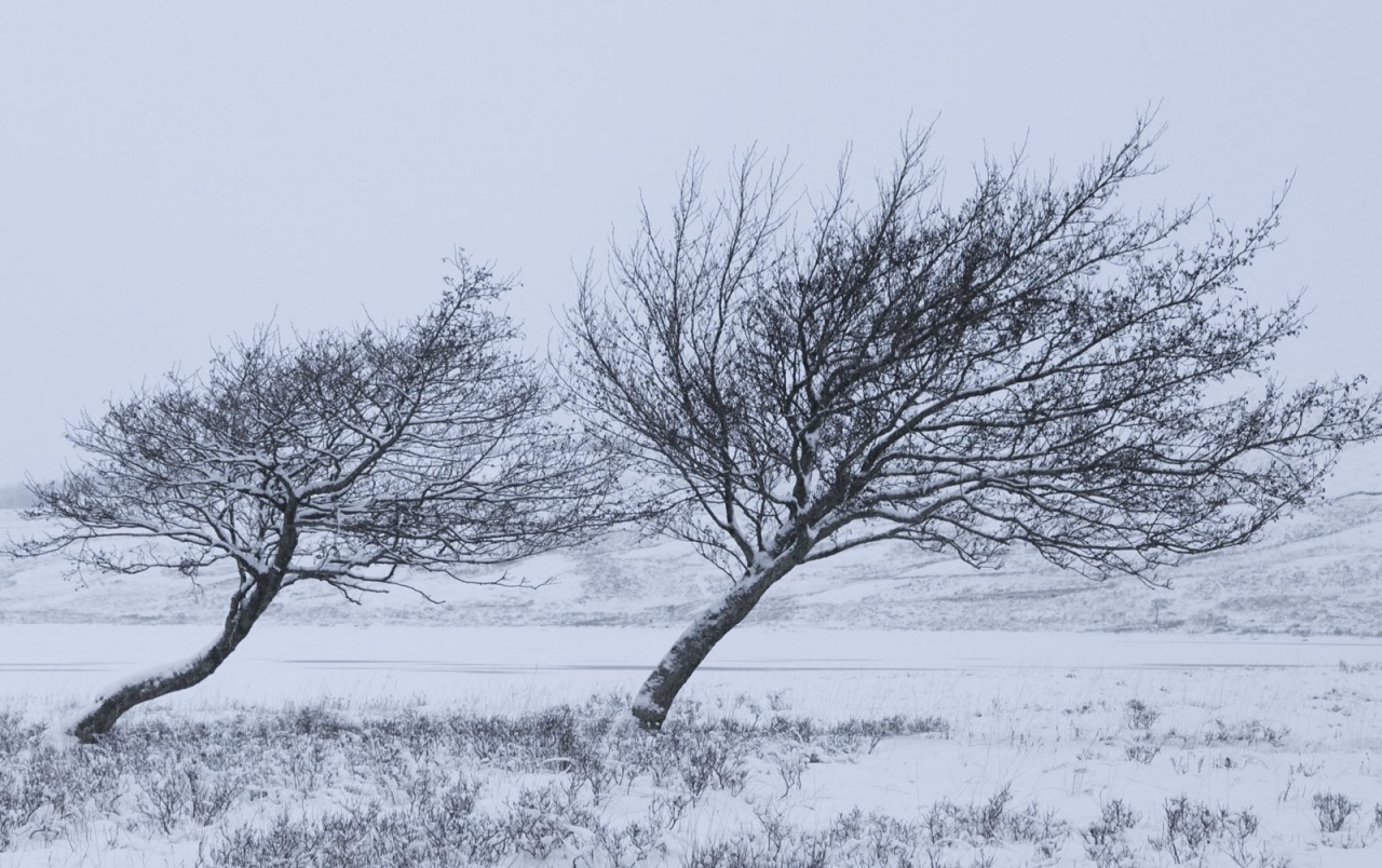 Why so windy in the winter? - National Weather Museum & Science Center